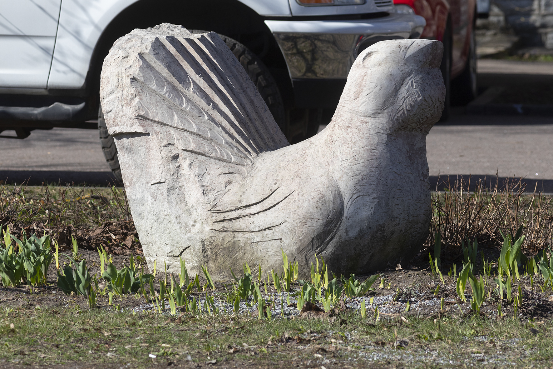 Metsis | Tallinna linnaruumikunsti kaart