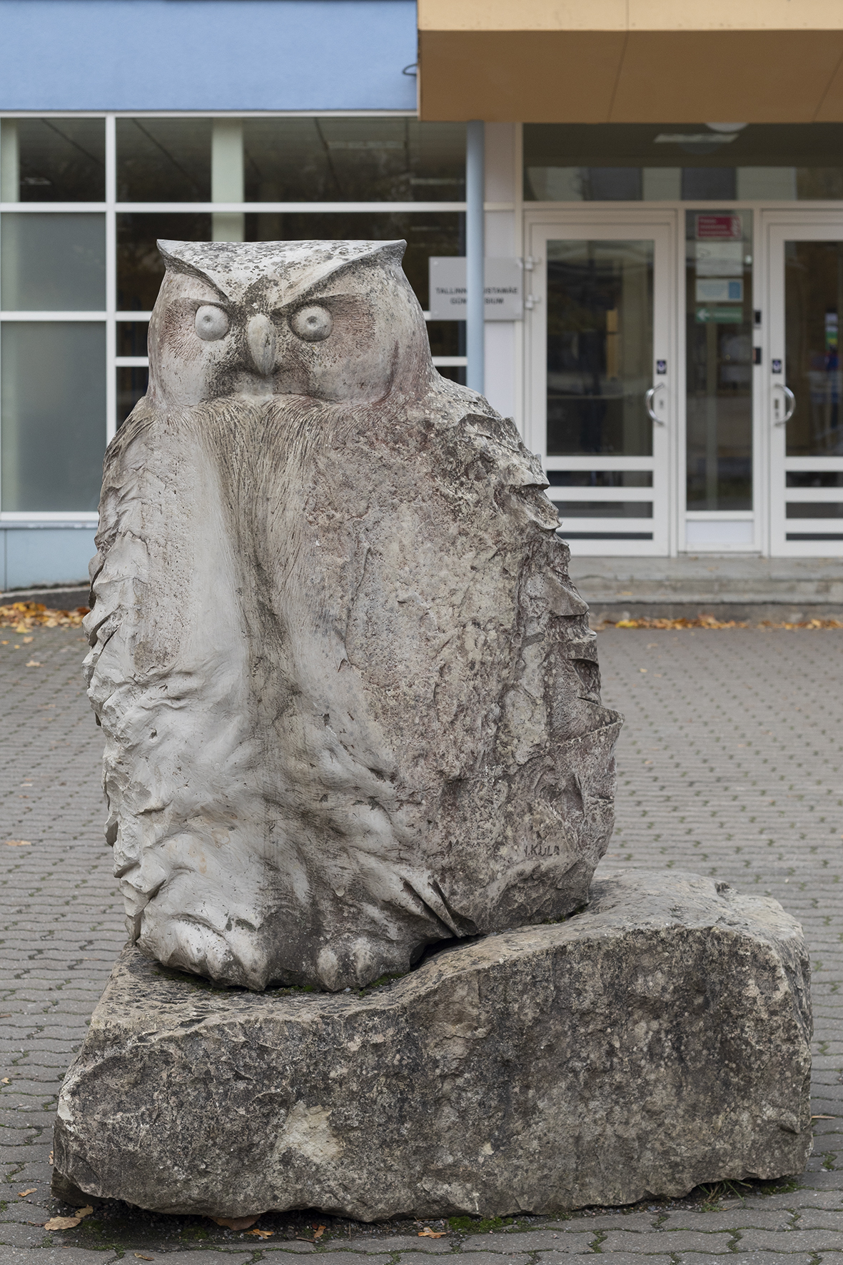 Öökull | Tallinna linnaruumikunsti kaart